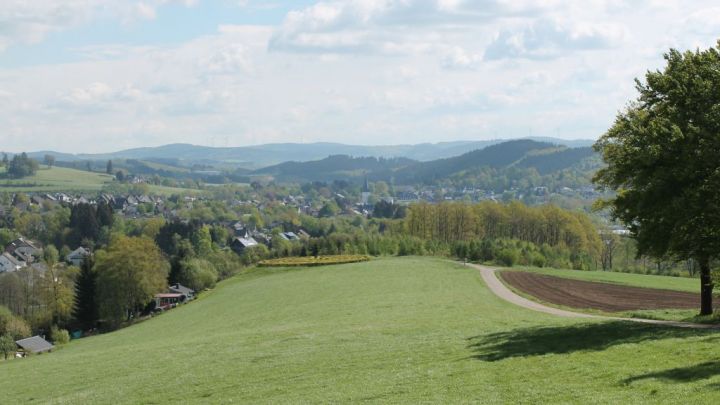 Vortrag über Landschaften von Prof. Halbfas