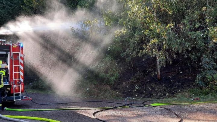 Feuerwehr hat Waldbrand in Lenhausen schnell unter Kontrolle