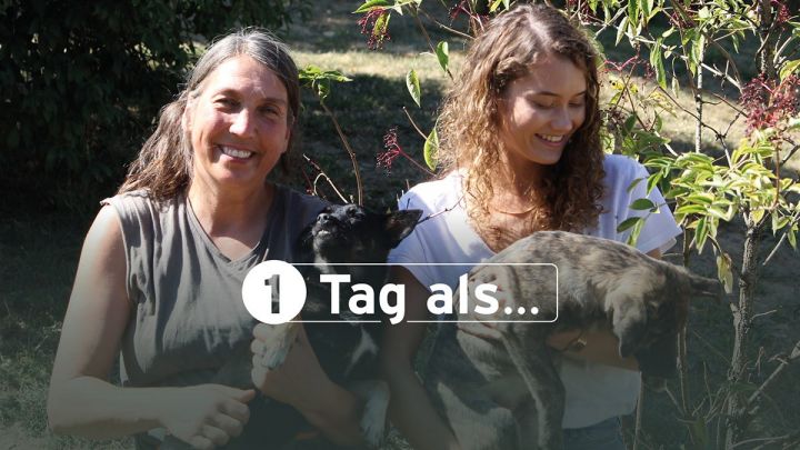 Ein bisschen wie Familie: Tierpflegerin im Olper Tierheim