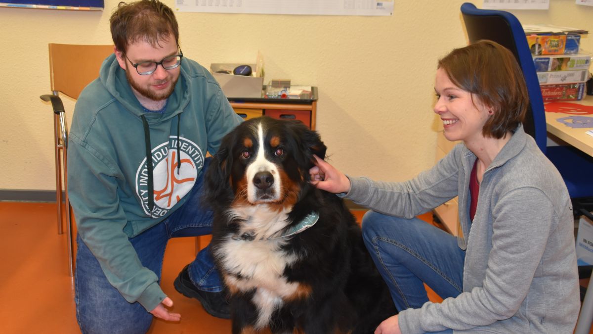 Berner Sennenhündin Wilma ist ein echter Gewinn
