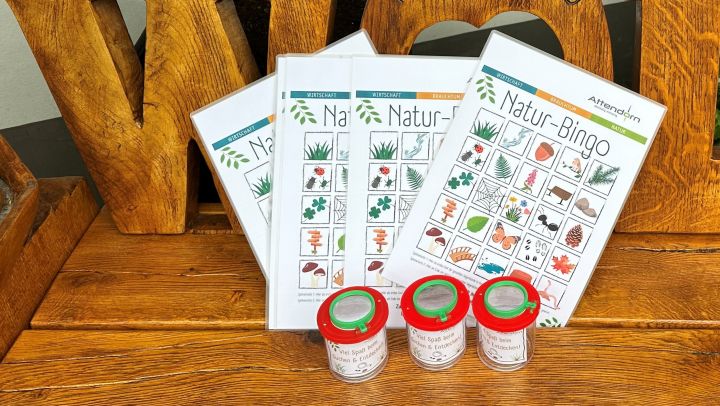 „Natur-Bingo“: Mit Kindern die Natur entdecken
