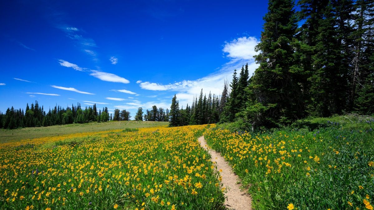 Wandern im Kreis Olpe: Die schönsten Routen zu jeder